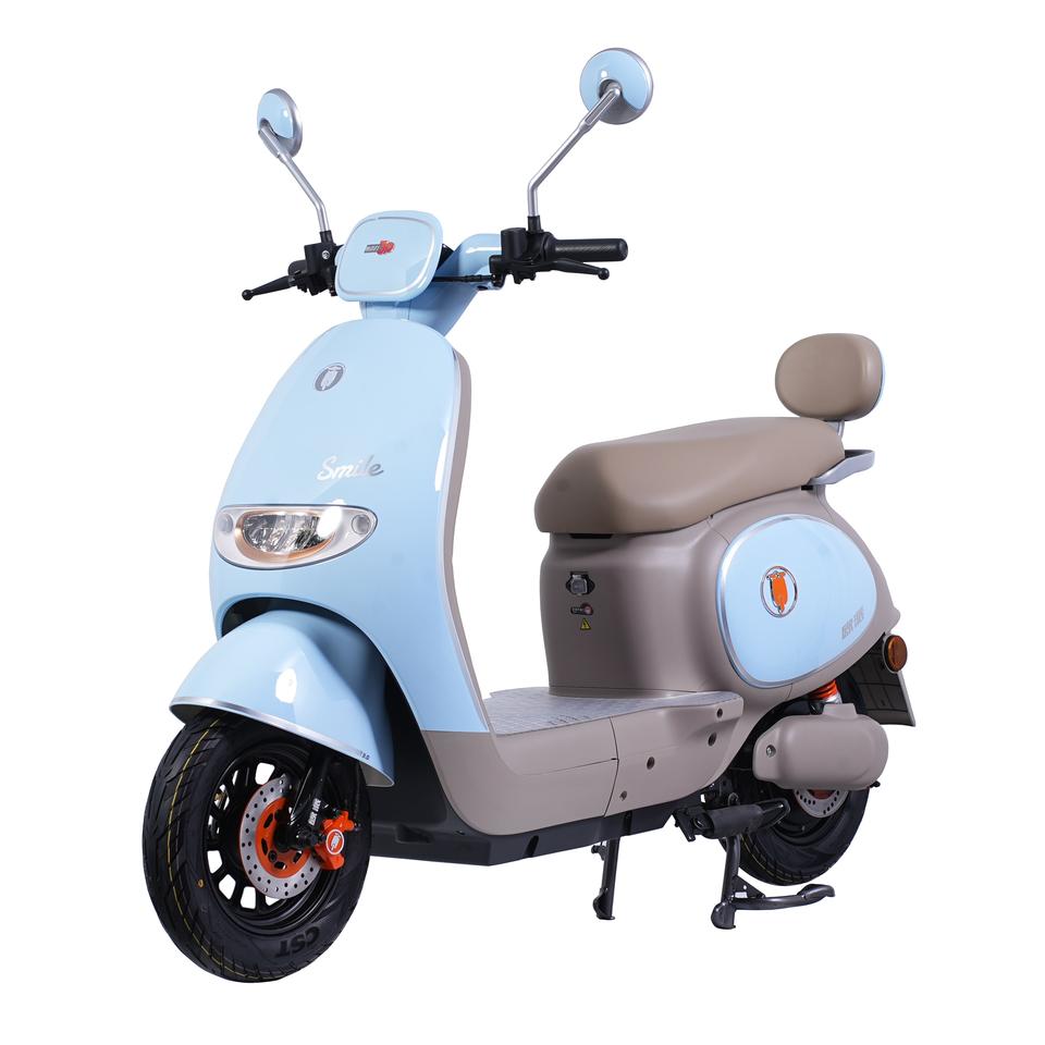 OPAI Electric Scooter Bike 48V 800W EV Moped Electric Motorcycle ...