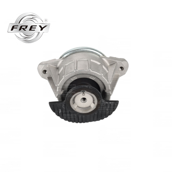 Company Overview - Guangzhou Frey Auto Parts Co., Ltd.