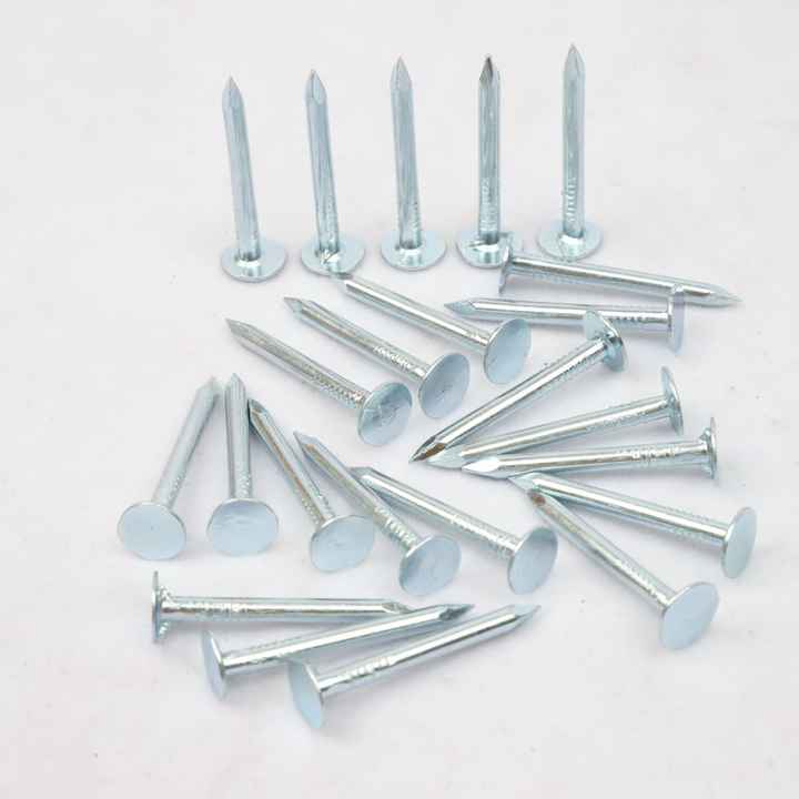 Zinc Plated Clout Nails 2.5mm X 35mm for Felt Paper and Underlayment ...