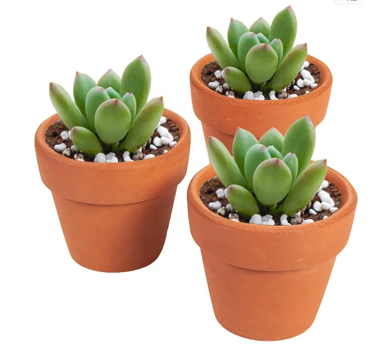 How to Choose the Best Pot White Clay for Your Needs