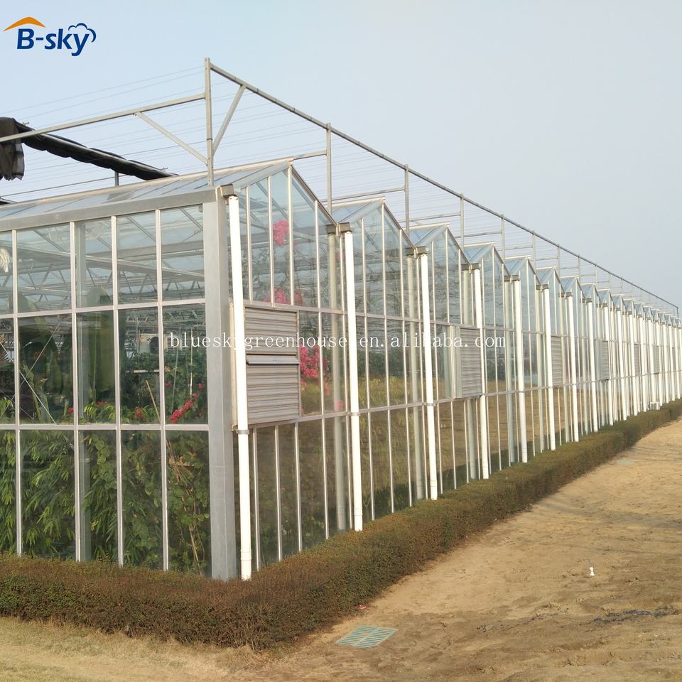 Modern Agricultural Glasshouse Structure for Hydroponic Cultivation and ...