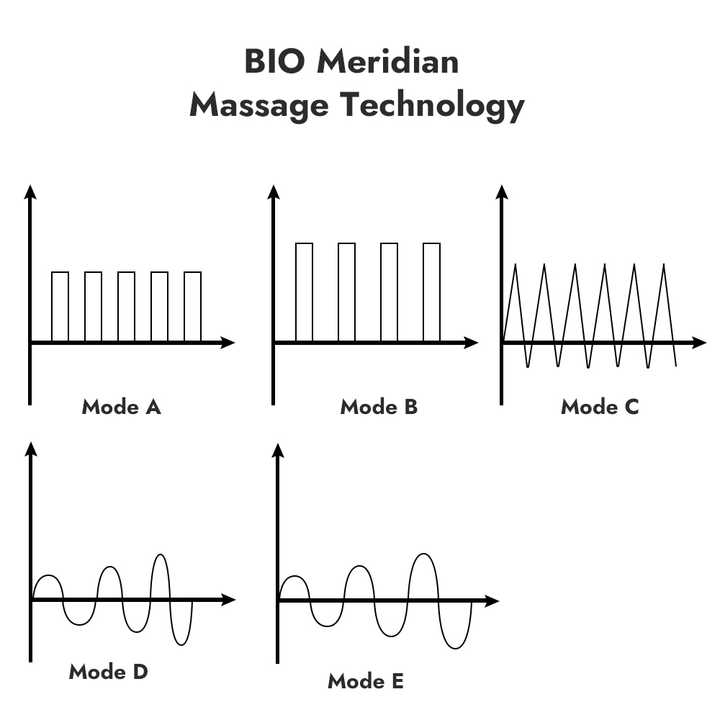 Synogal portable EMS meridian BIO vacuum body scraping physiotherapy ...