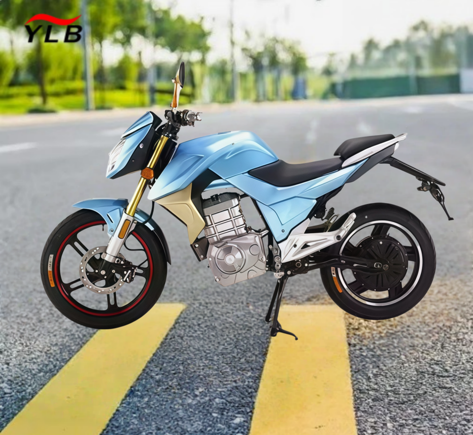 Dual-motor Electric Motorcycle with 800W Power Patin Ete in Retro Style ...