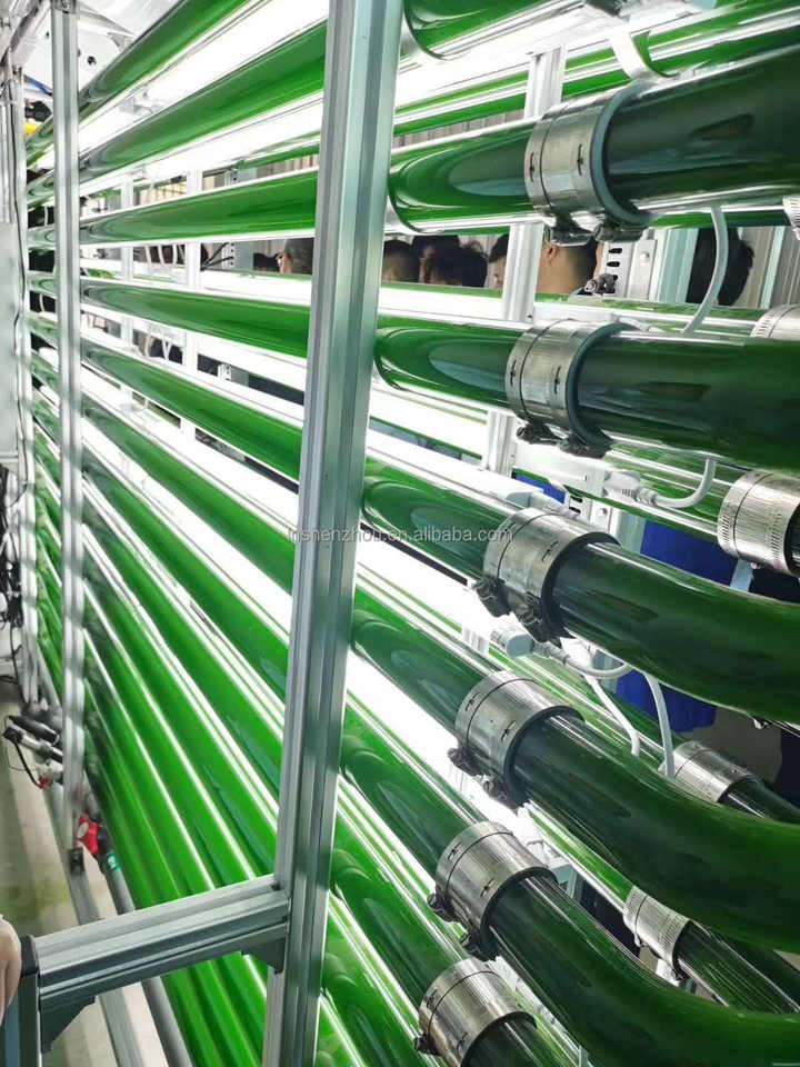 Microalgae Photobioreactor - Automatic Tubular Reactor for Lab, Food ...
