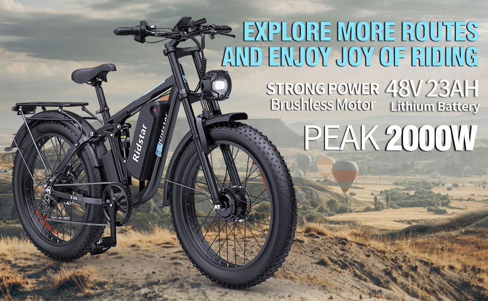 How to Choose a 4 Wheel E Bicycle with 26 Inch Tires and Independent ...