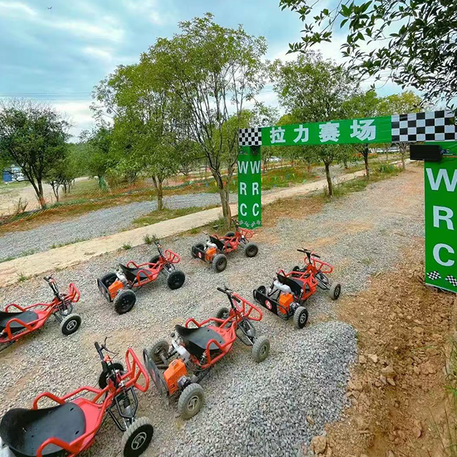 Adult Go-Karts - Ultimate Thrill for Karting Enthusiasts