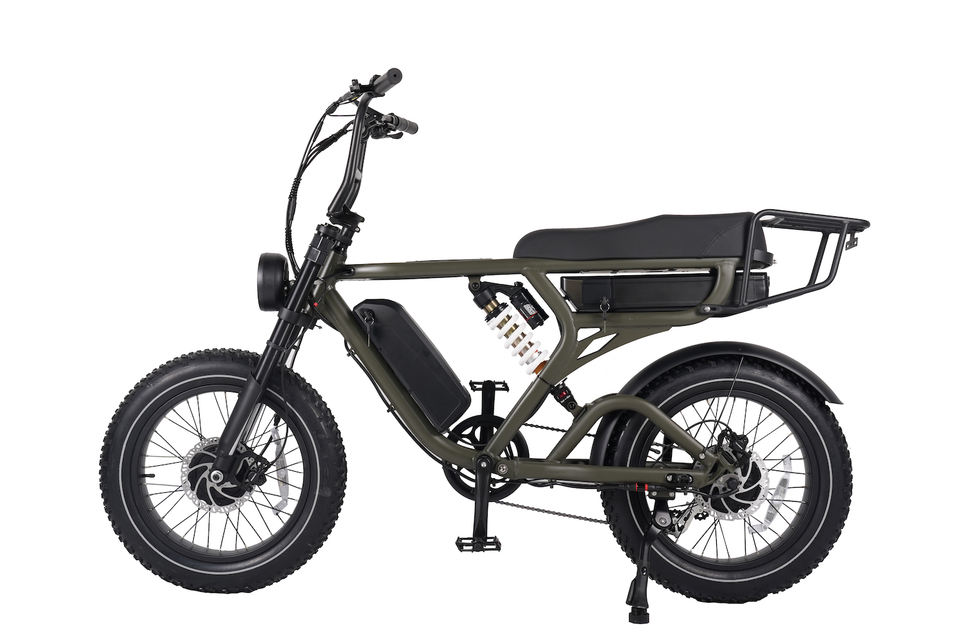 Long Range 1000w Electric Bike - Dual Motors & Batteries