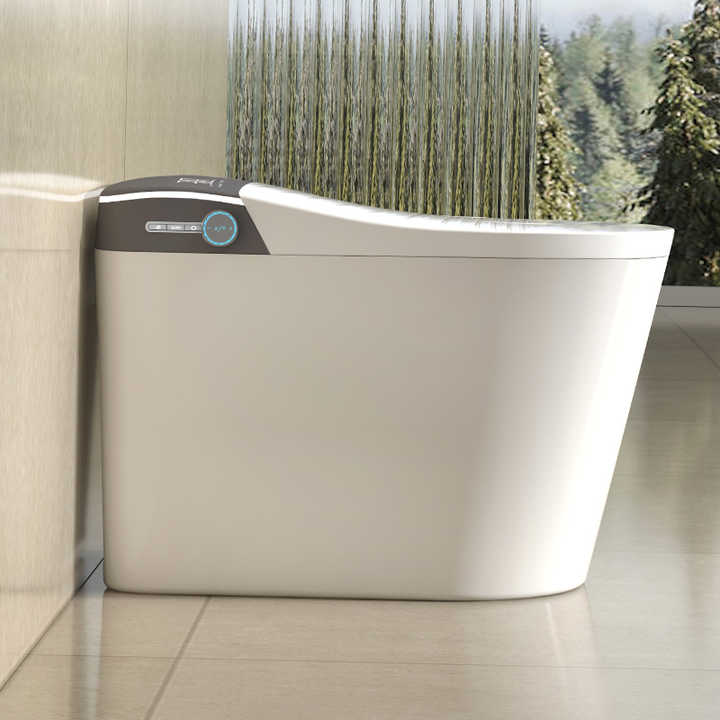Luxury Intelligent Smart Toilet with Bidet & UV Sanitization
