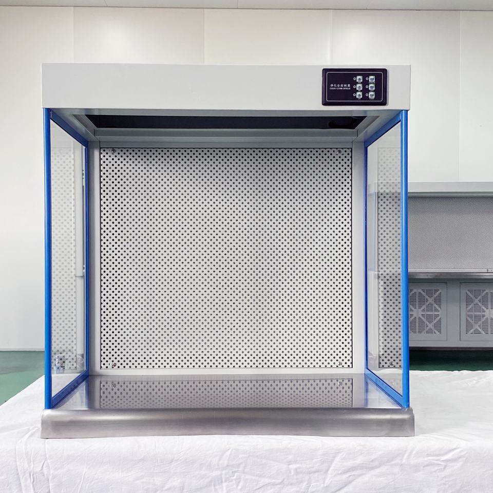 Customized Horizontal Flow HEPA Filter Clean Benches