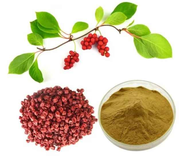 Organic Schisandra Berry Extract Powder 5% Schisandra Chinensis Extract ...