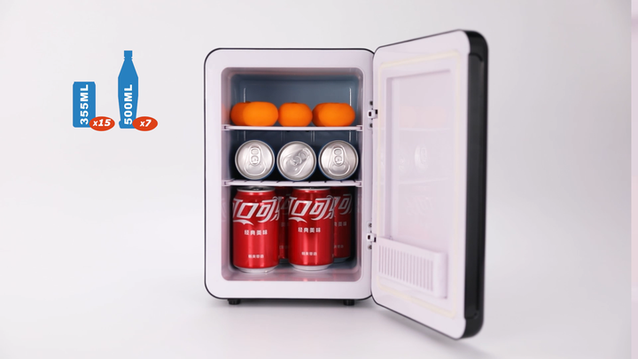 10l Mini Fridge for Bedroom Car Office Desk Dorm Portable ...