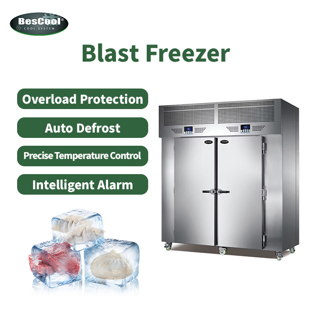 Verified Supplier Minus 80 Freezer 10 Trays, Vertical Design | Alibaba.com