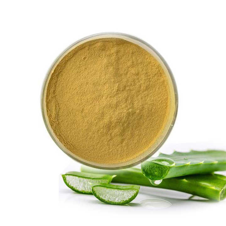 Best Price Cistanches Extract Natural Plant Extract Cistanche Salsa ...