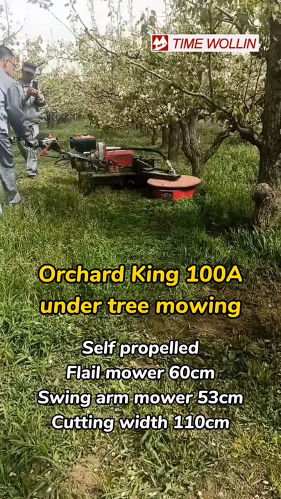 Orchard Swing Arm Flail Mower Walk Behind - Vineyard Mower Undervine ...