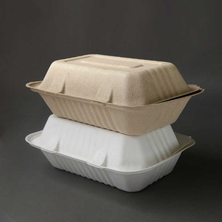 Biodegradable Takeaway Containers - Eco-Friendly Solutions