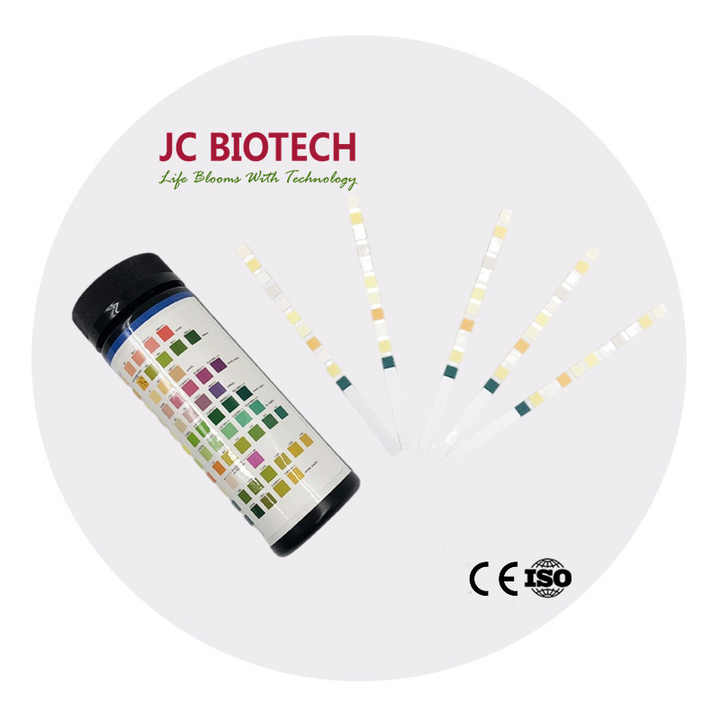 12 Parameters Urine Calcium Test Strip - Accurate Urinalysis