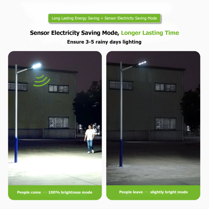 40W 80W 160W 120W LED Solar Street Lamps with Sensor IP65 Rated for ...