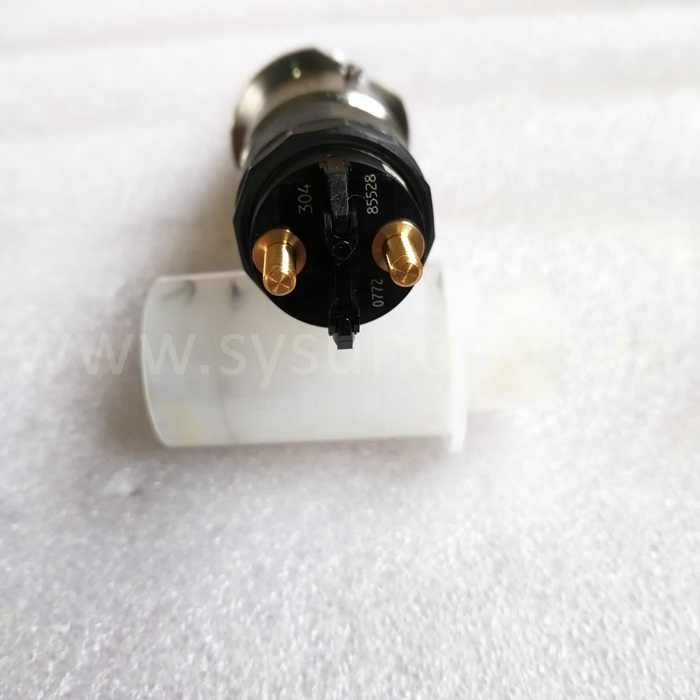 OEM Common Rail Injector 0445120304 Fuel Injector 0445120030 0445120106 ...