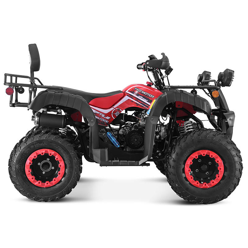 Tao Motor Automatic Chain Drive Off Road Farm Cuatrimoto 2 Seater 150cc ...