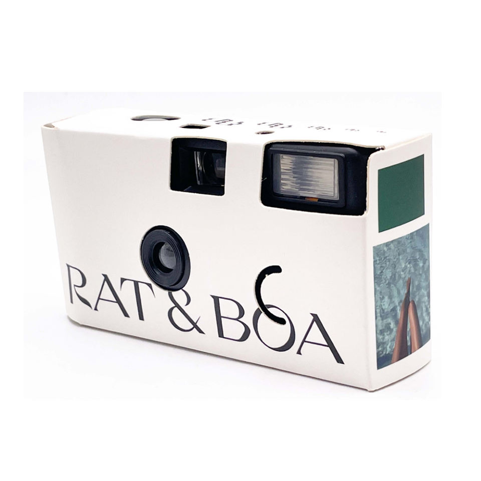 Single Use Custom Wholesale Disposable Camera with Flash 35mm C41 Film ...