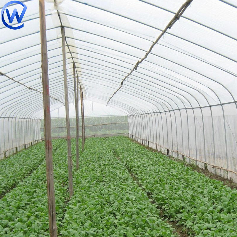 Insect Proof Mesh - Black Soldier Fly Farm Net Reinforce Edge