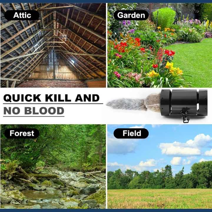 Squirrel Trap rust Proof Trap Suitable for Backyard Gardens, Safe and ...