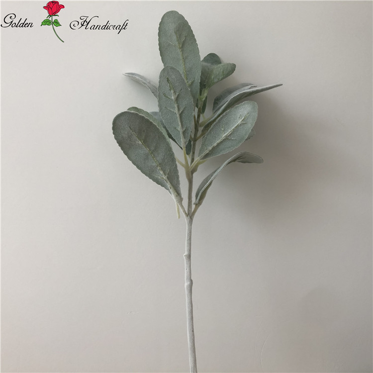 How to Choose the Best Lambs Ear Greenery for Your Floral Arrangements