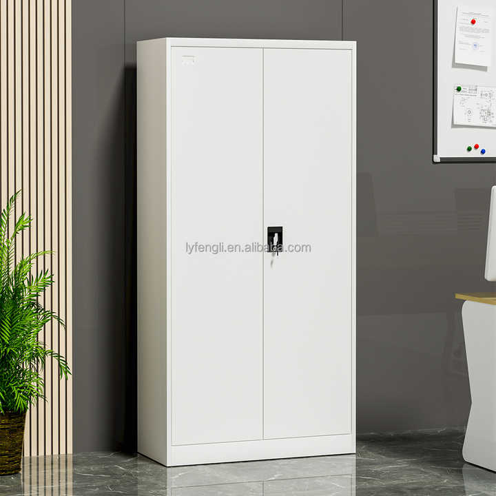 Modern 2-Door Lockable Steel Filing Cabinet Multi-Purpose for Home ...