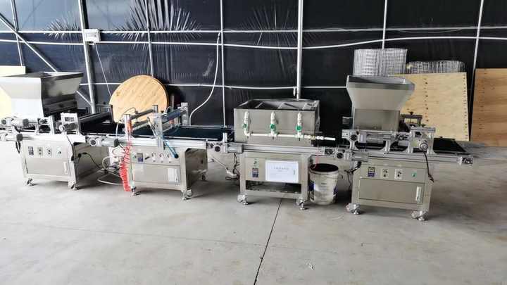 Auto Tray Vegetable Seeder Machine for Greenhouses & Farms - OEM