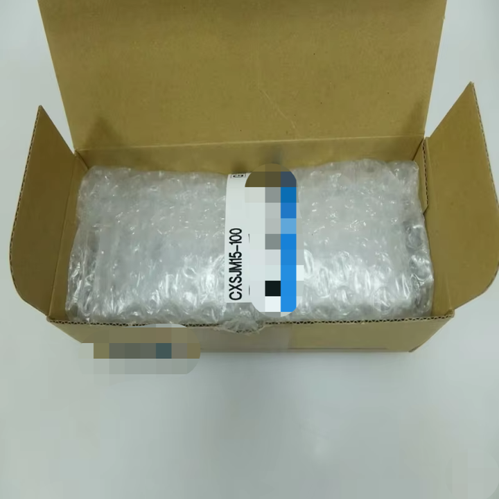Genuine NIB CXSJM15-100 Compact Guided Pneumatic Cylinder CYL-GUD-I-297 ...