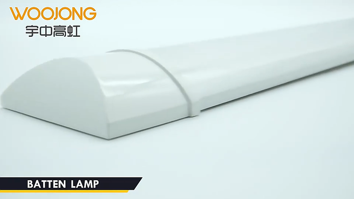 WOOJONG Outdoor Linear LED Batten Wall Light Modern Style 3000K-6500K ...