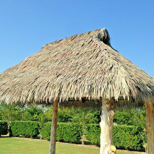 Find Realistic Artificial Coconut Leaves Roof, Perfect for Decor ...