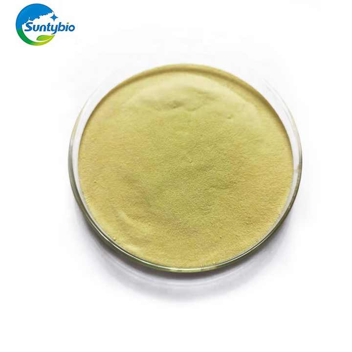 Yeast Extract (saccharomyces Cerevisiae) - Buy Yeast Extract yeast ...