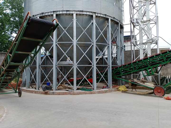 TDSG Continuous Conveyor Belt with Cover - 1 Year Warranty