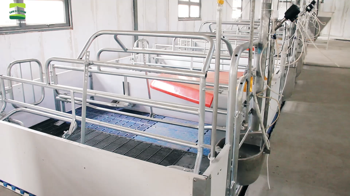 Farrowing Crate for Pigs - Comfort & Efficiency Redefined