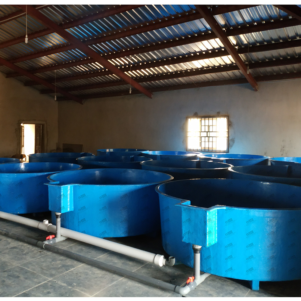 Advanced Fish RAS Aquaculture Systems for Efficient Farming