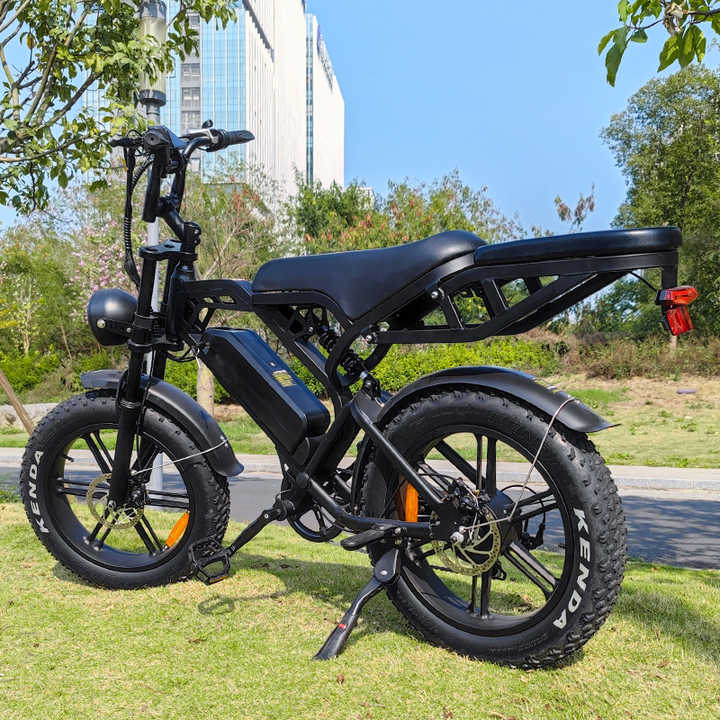 V20 Electric Bike - 1000W Power, 750W, 500W, 250W Options