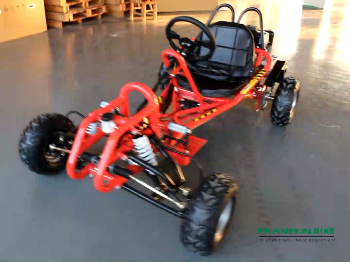Passionate Outdoor Cross-Country 4 Wheel Buggy Expedition 270cc Air ...