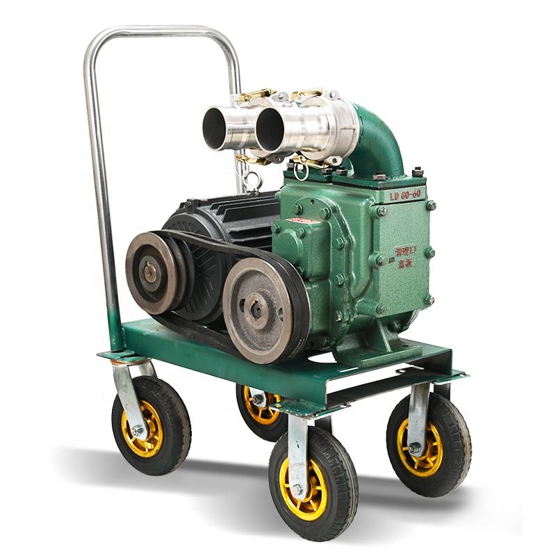 Efficient Sewage Pump for Pig Manure - High Flow, High Head