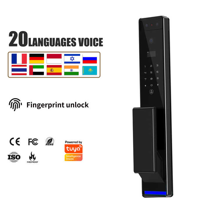 Door Smart Door Lock Keyless Tuya Wifi Fingerprint Push Pull Home Lock ...
