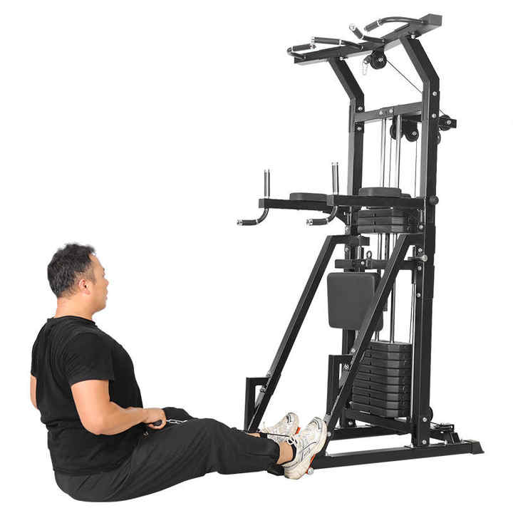 Assisted Chin / Dip Machine - TAPSPORTS Plate-Loaded Pull-up Machine