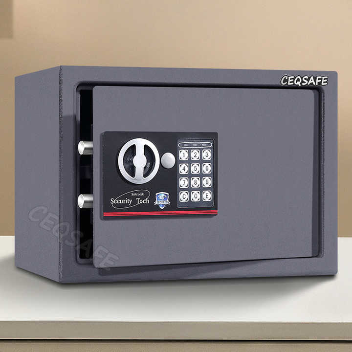 CEQSAFE Home Security Deposit Safe Durable Steel Cash Mini Safes Box ...