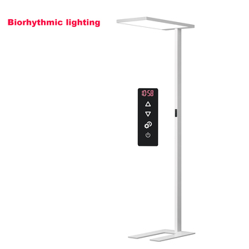 Company Overview - Guangzhou Eterna Lighting Co., Ltd.