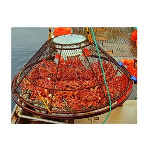 Three entrance commercial folding king crab cage deep sea fish trap