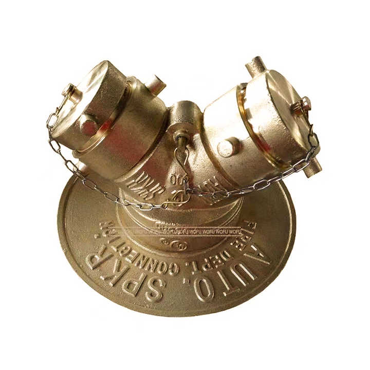 Saudi Arabia Double Clapper Y Type Fire Department Valve Siamese ...