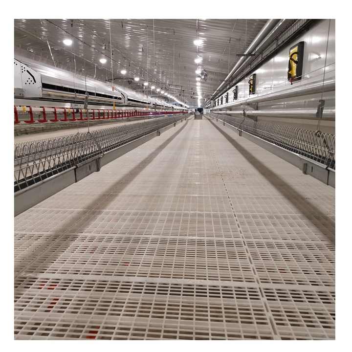 Kaleter Broiler and Breeder Shed Farm Slat Floor Plastic Slats