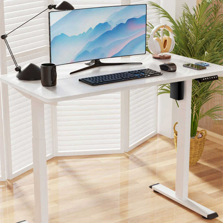 Standing Desk Non Adjustable - Modern Executive Sit Stand Desk
