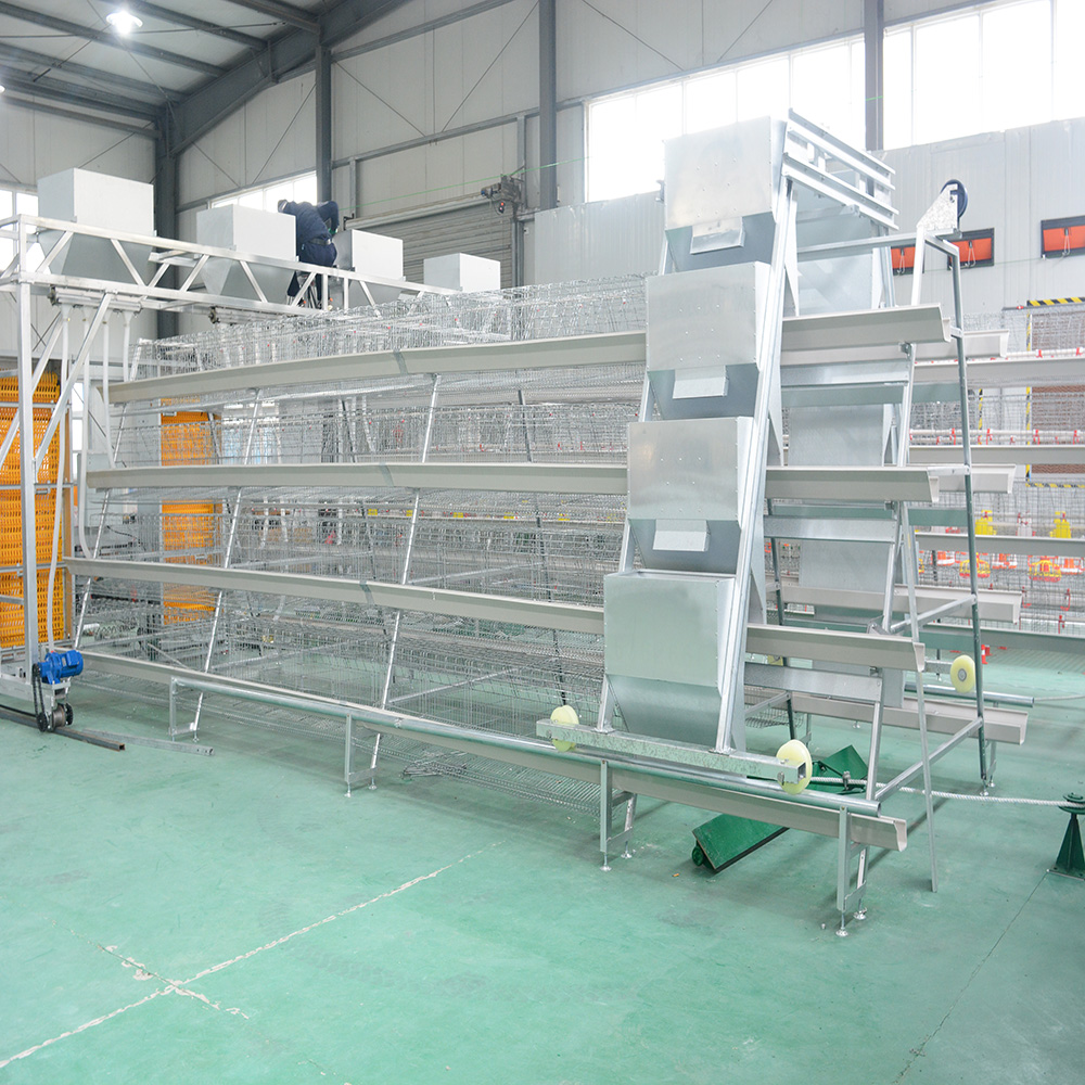 On Sale Poultry House for Layers 1k+ | Alibaba.com