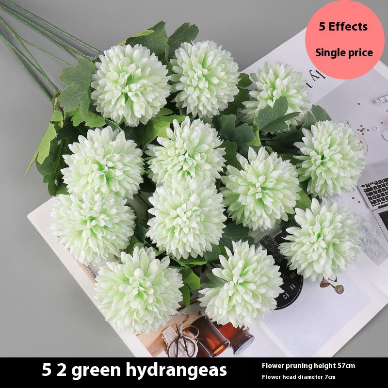 How to Choose the Best Hydrangea with Glass Display for Your Home