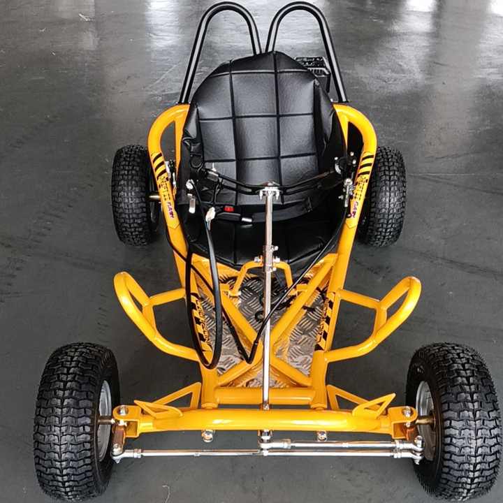 6.5HP 196cc 200cc 210cc Teen-agers Two-wheel Drive Beach Cruiser Go ...